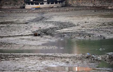 What is amphibious excavator and its application? | Amphibious Excavator